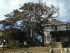 MICHAEL JACKSON'S 'THRILLER' HOUSE: A Zombie Haven of Musical history ...