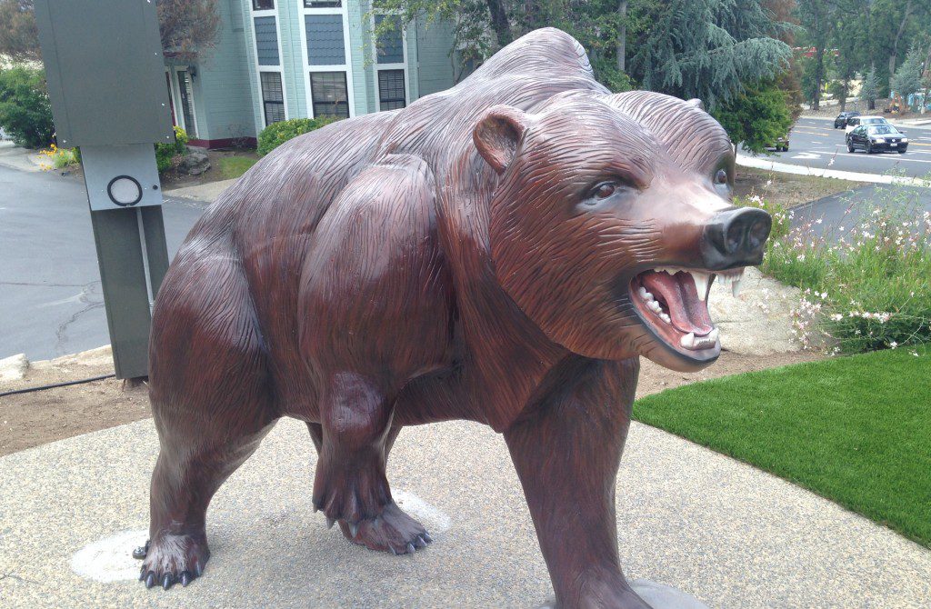 The World Famous Talking Bear | California Curiosities