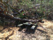 HAUNTED PICNIC TABLE 29: Chasing Horny Ghosts and Urban Legends in ...