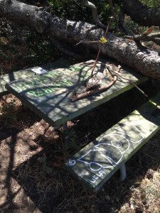HAUNTED PICNIC TABLE 29: Chasing Horny Ghosts and Urban Legends in ...