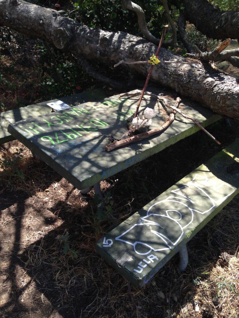 HAUNTED PICNIC TABLE 29: Chasing Horny Ghosts and Urban Legends in ...