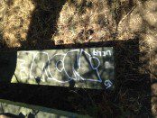 HAUNTED PICNIC TABLE 29: Chasing Horny Ghosts and Urban Legends in ...