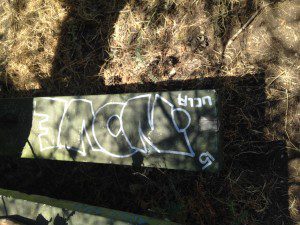 HAUNTED PICNIC TABLE 29: Chasing Horny Ghosts and Urban Legends in ...