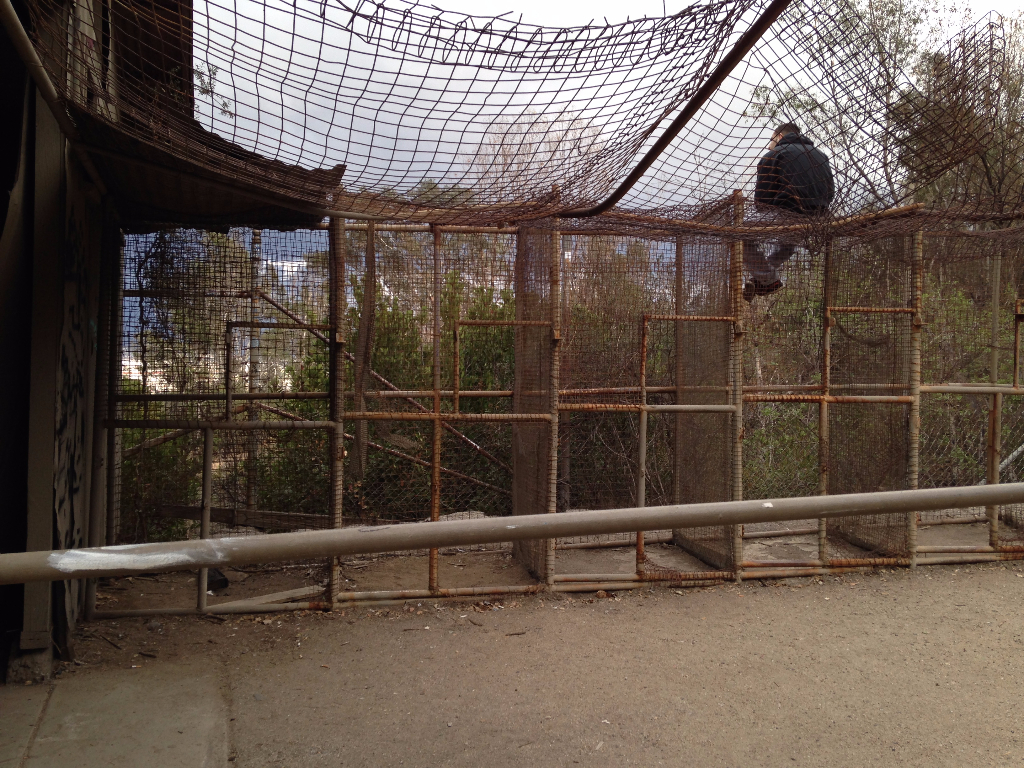 THE ABANDONED L.A. ZOO: Party with the Ghosts of Dead Animals ...