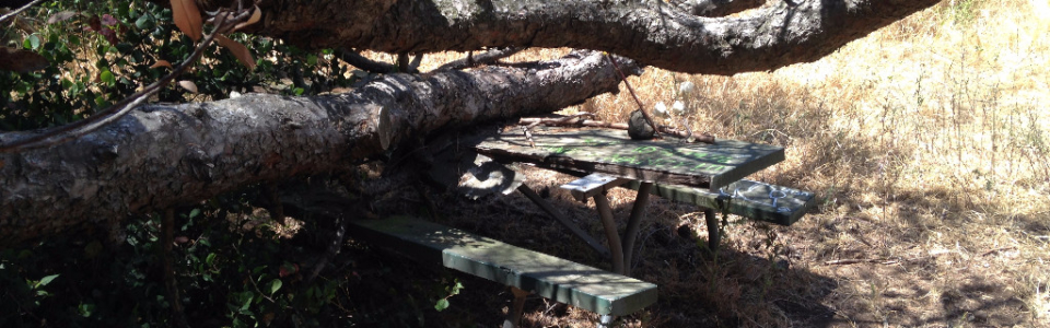 HAUNTED PICNIC TABLE 29: Chasing Horny Ghosts and Urban Legends in ...
