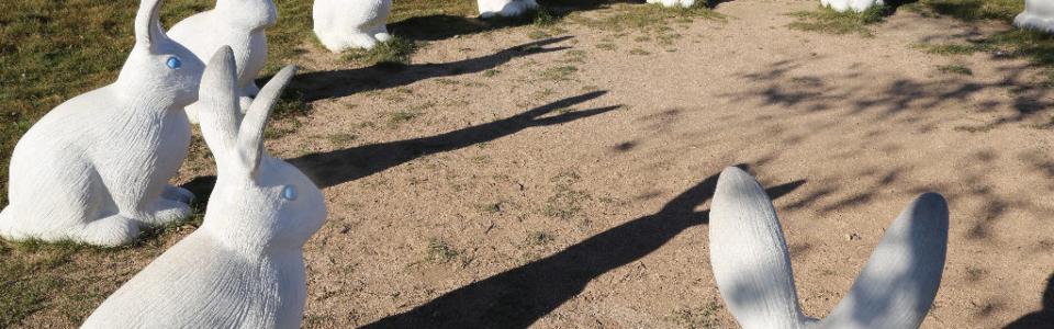 Bunnyhenge | California Curiosities